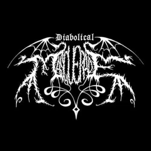 Collections – OMerch